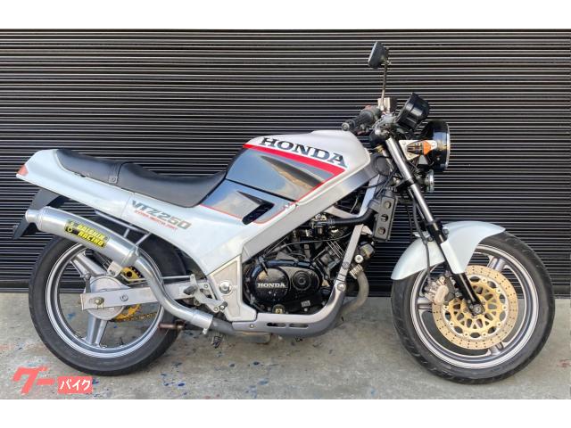 車両情報:ホンダ VTZ250 | お宝バイク.com | 中古バイク・新車バイク探しはバイクブロス