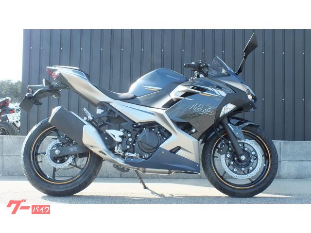 Kawasaki Ninja 250r Grey