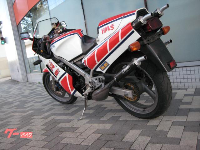 車両情報:ヤマハ RZV500R | sports Plazaモトプラン | 中古バイク・新車バイク探しはバイクブロス