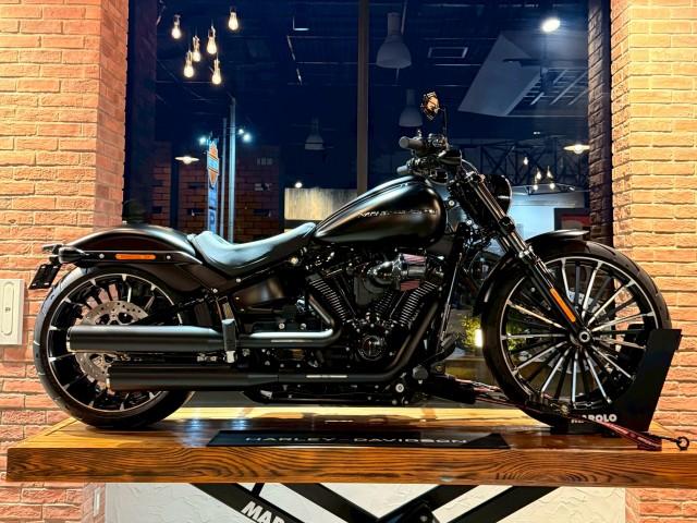ブレイクアウト、ブラックアウト（ハーレーダビッドソン埼玉花園の作業実績 2026/01/07）｜バイクの整備・メンテナンス・修理なら【グーバイク】